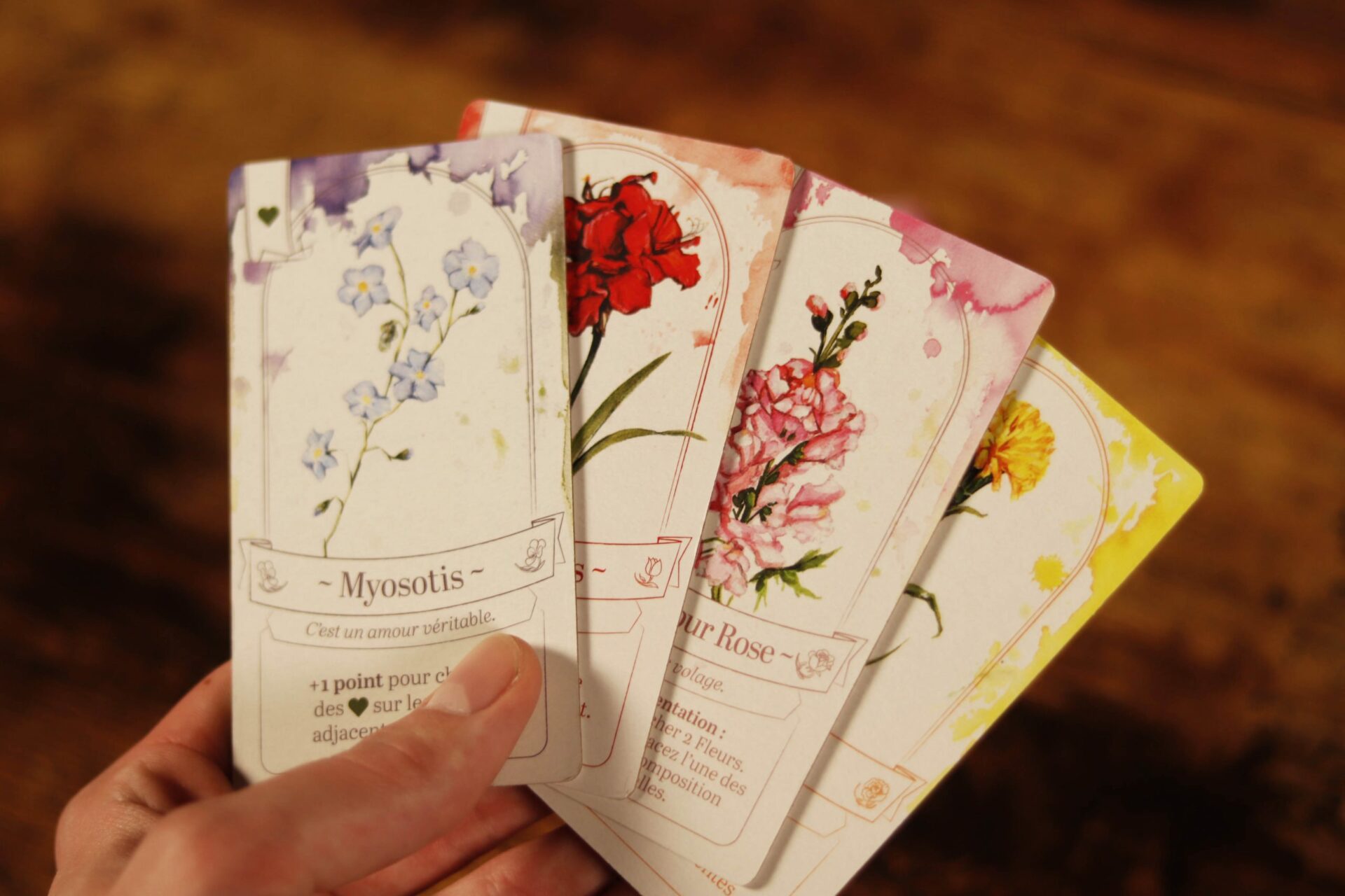 Tussie Mussie - IELLO