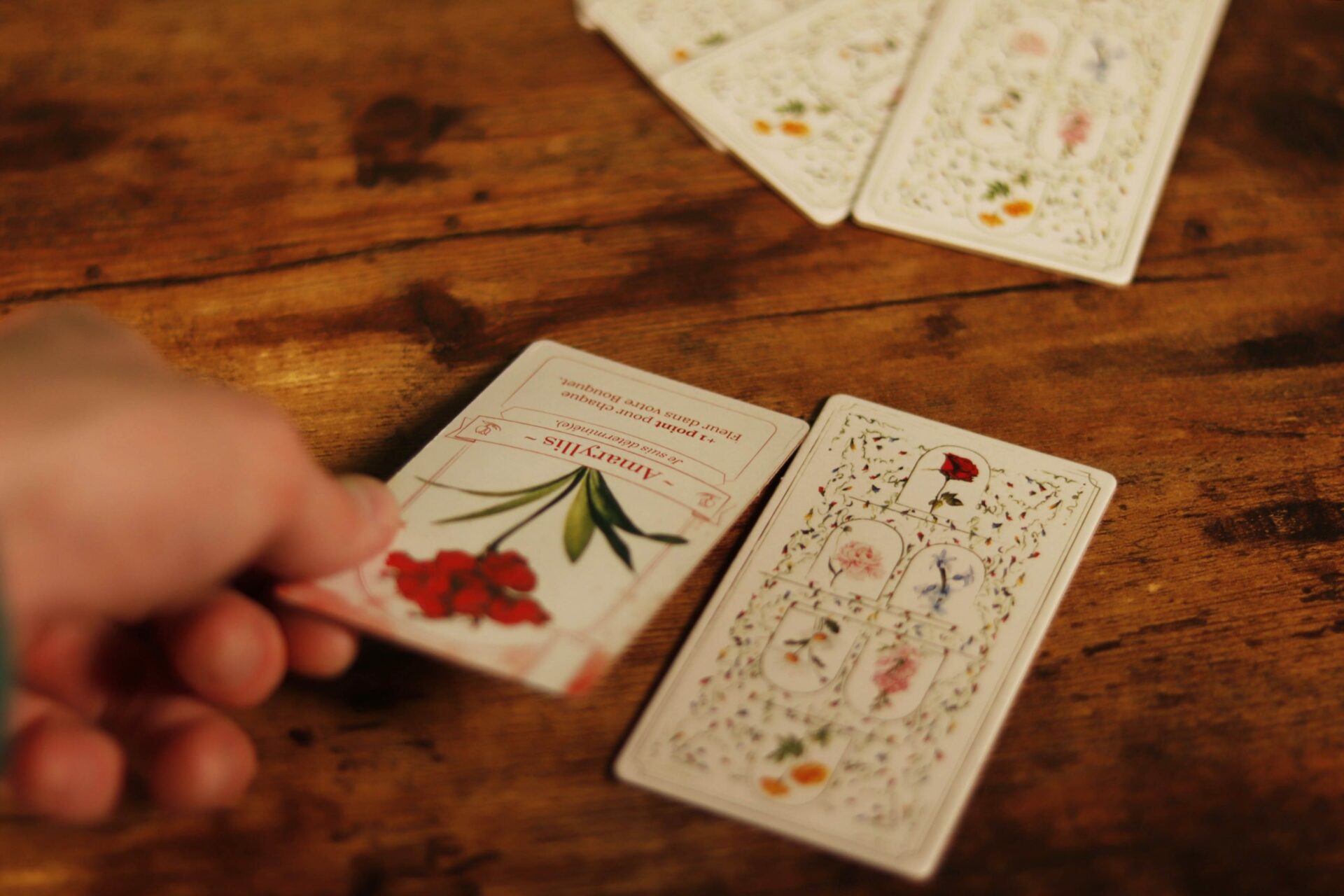 Tussie Mussie - IELLO